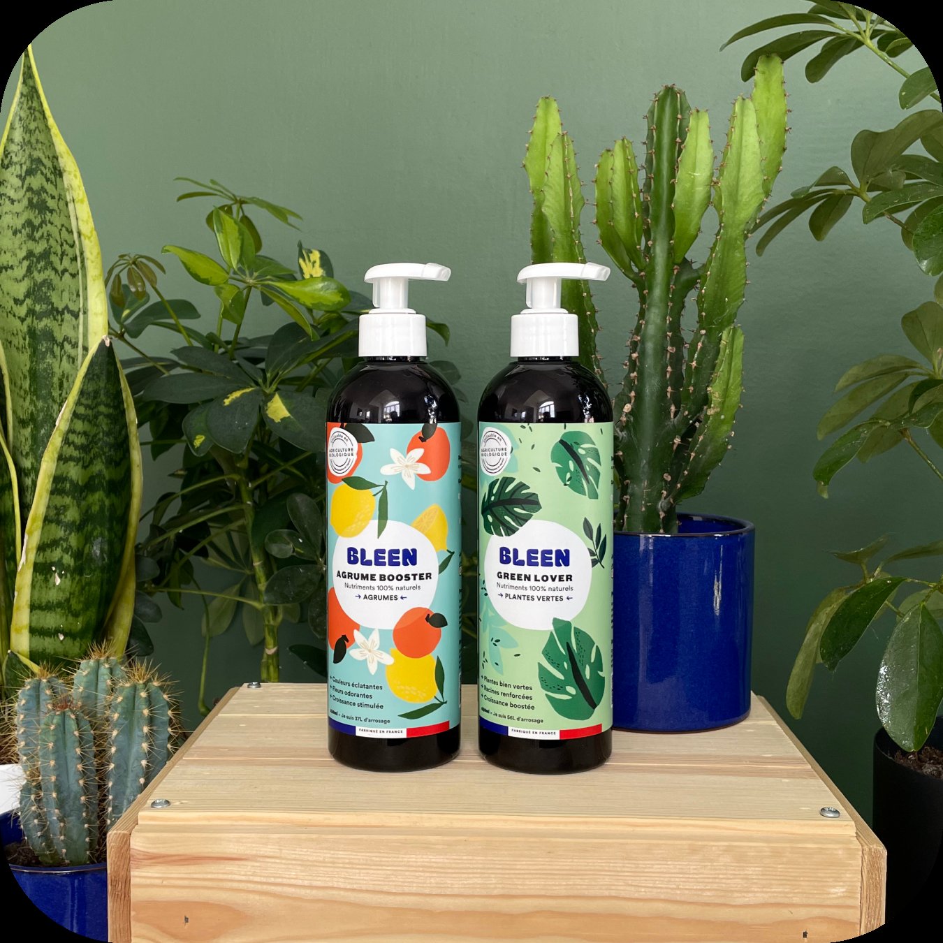 Engrais plantes (Kit de 2) – Bleen