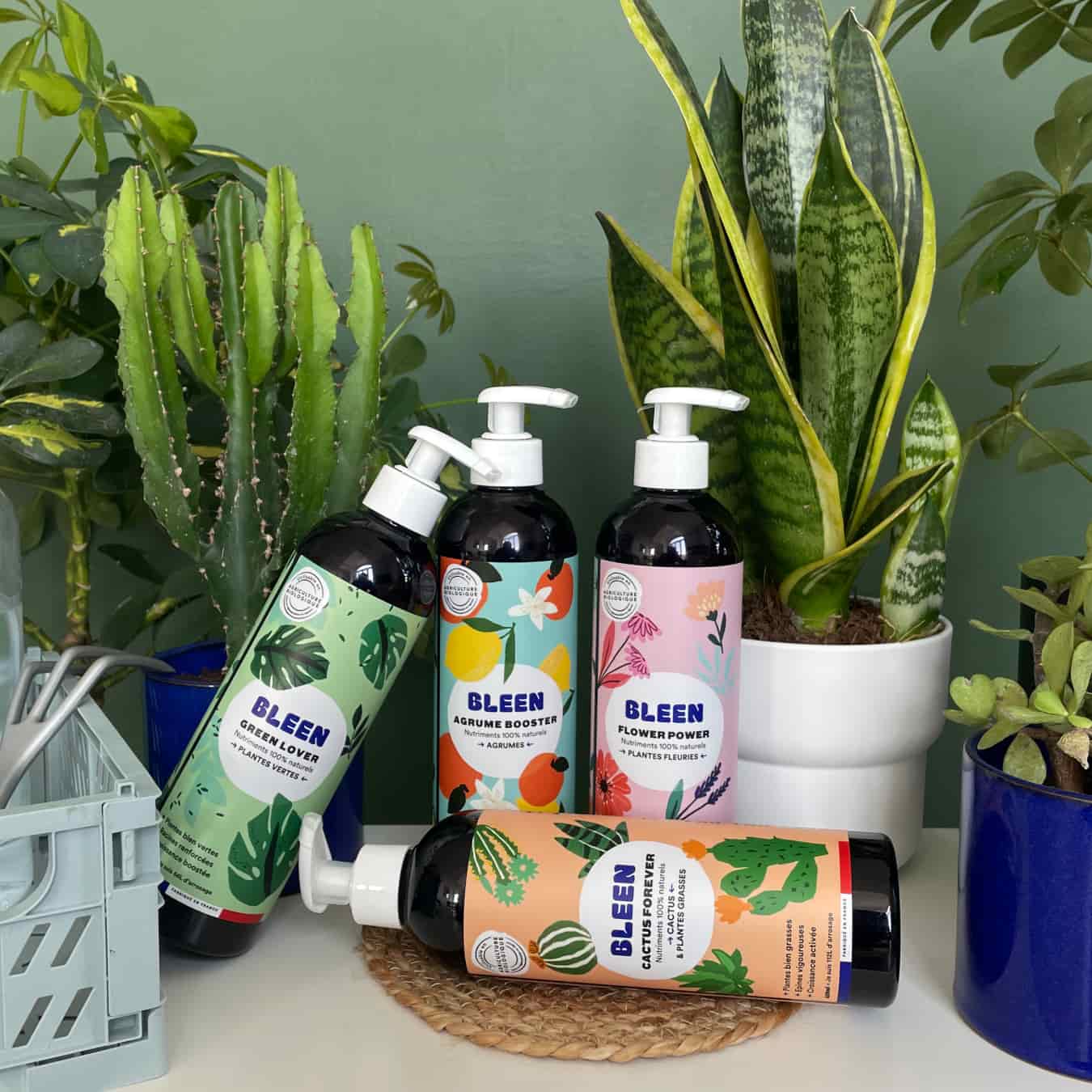 Engrais plantes (Kit de 4) – Bleen