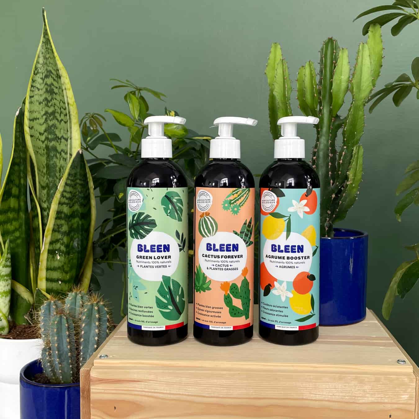Engrais plantes (Kit de 3) – Bleen