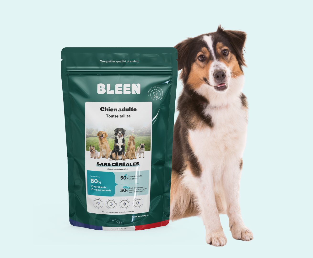 Croquettes sans céréales pour chiens actifs – Bleen