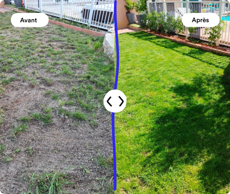 Gazon pousse rapide : le secret d’un jardin verdoyant – Bleen